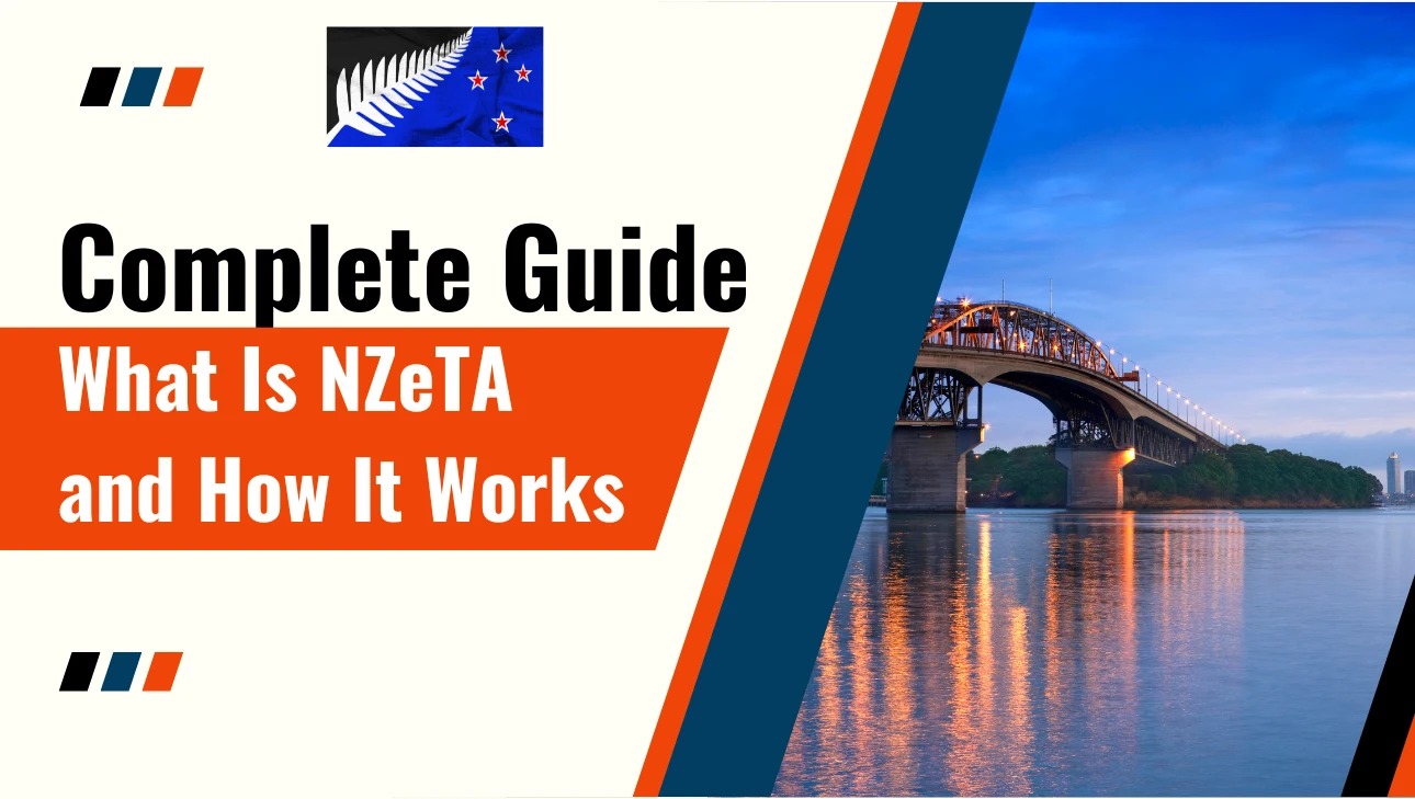 Complete Guide: What Is NZeTA And How It Works